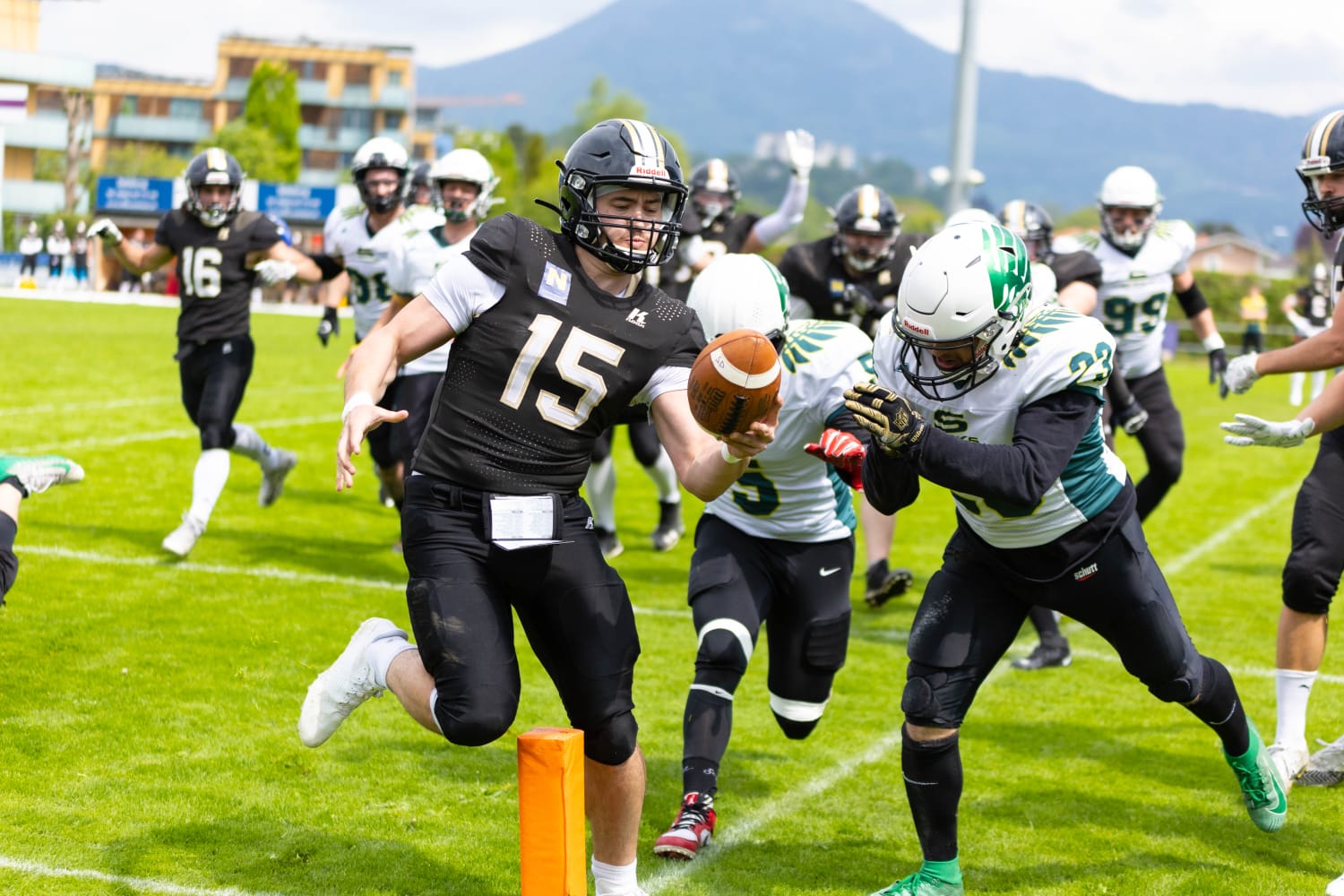 AFL Week 6: Panthers auf der Dragons Spuren / Dritter Saisonsieg für ...