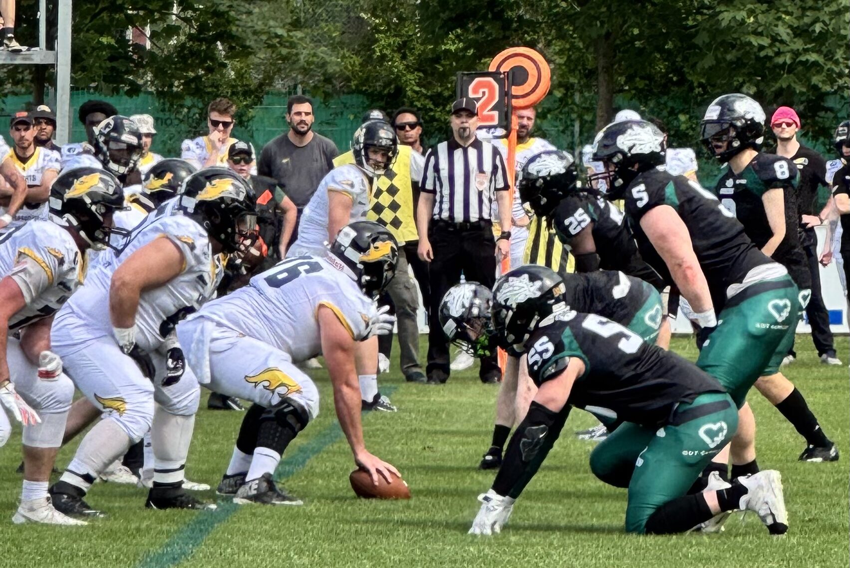 AFL Week 8: Dragons ringen Knights im Thriller von Wien nieder | AFBÖ